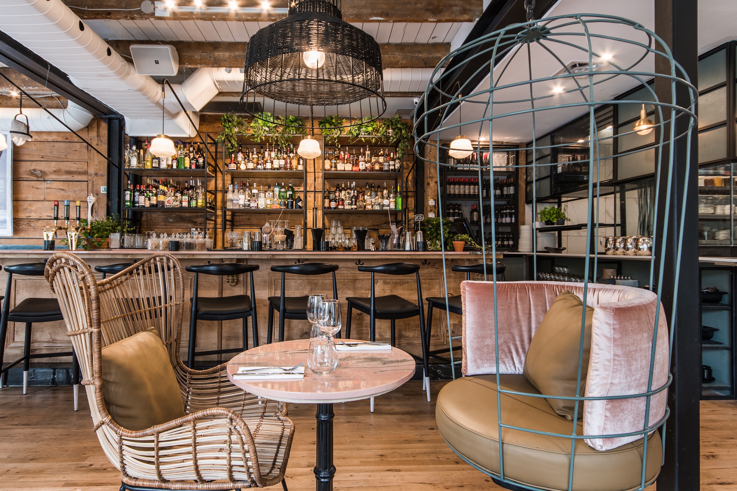 India Rosa Plateau, Resto Bar indien sur l'avenue Mont-Royal